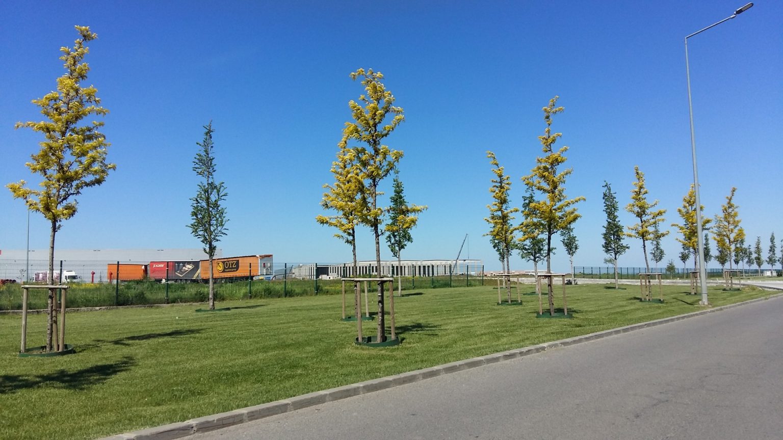 Amenajari spatii verzi – Amenajari spatii verzi